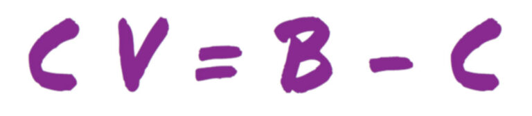 The Value of a Customer Value Equation | SIVO Insights and Strategy